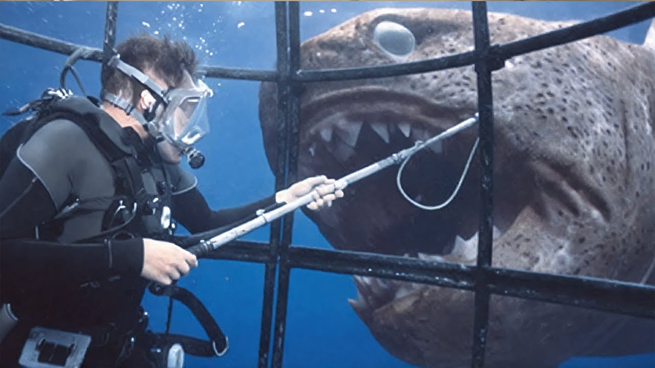 California Diver JUST Discovered a Creature Thought Extinct STILL ...