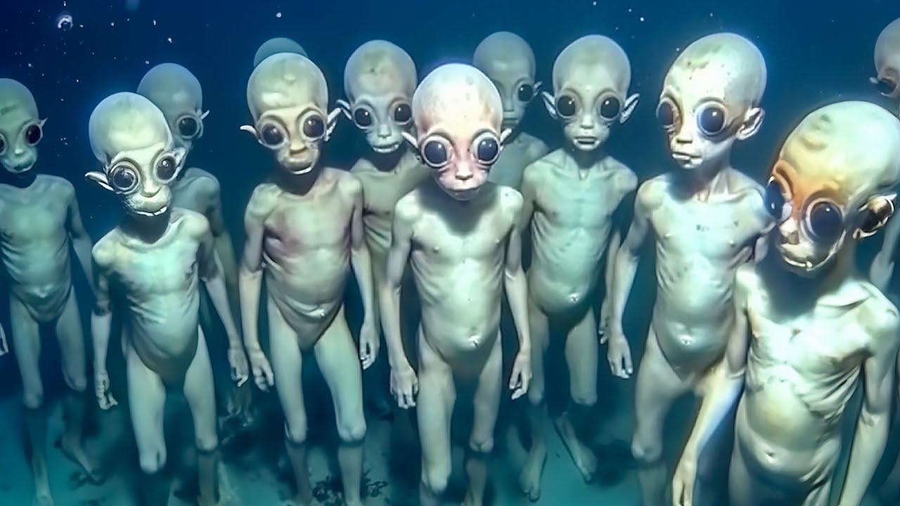 New Footage From the Mariana Trench – What They Found at the Bottom ...