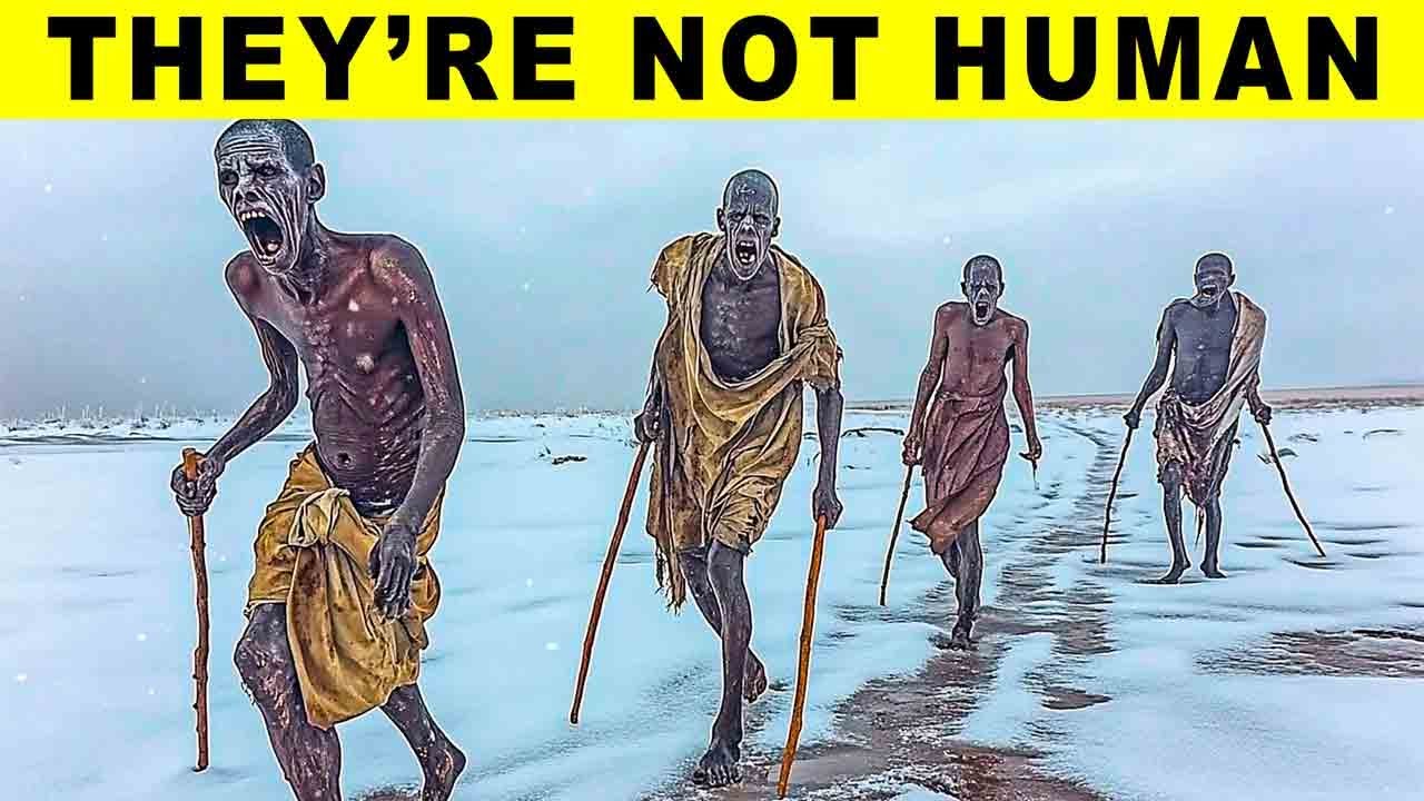 This Tribe In The Arctic Has SHOCKED Researchers – Daily News