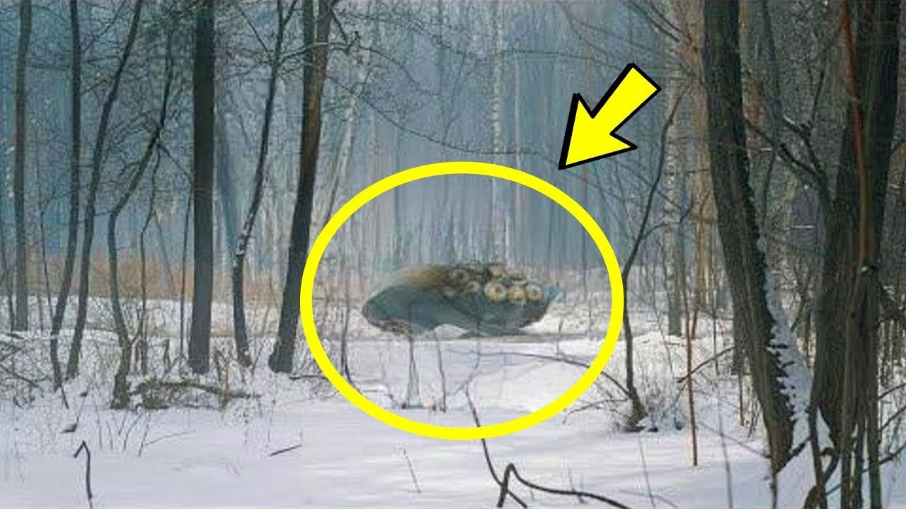 Scientist Installs Hidden Cameras In Chernobyl’s Dead Zone – Drops ...