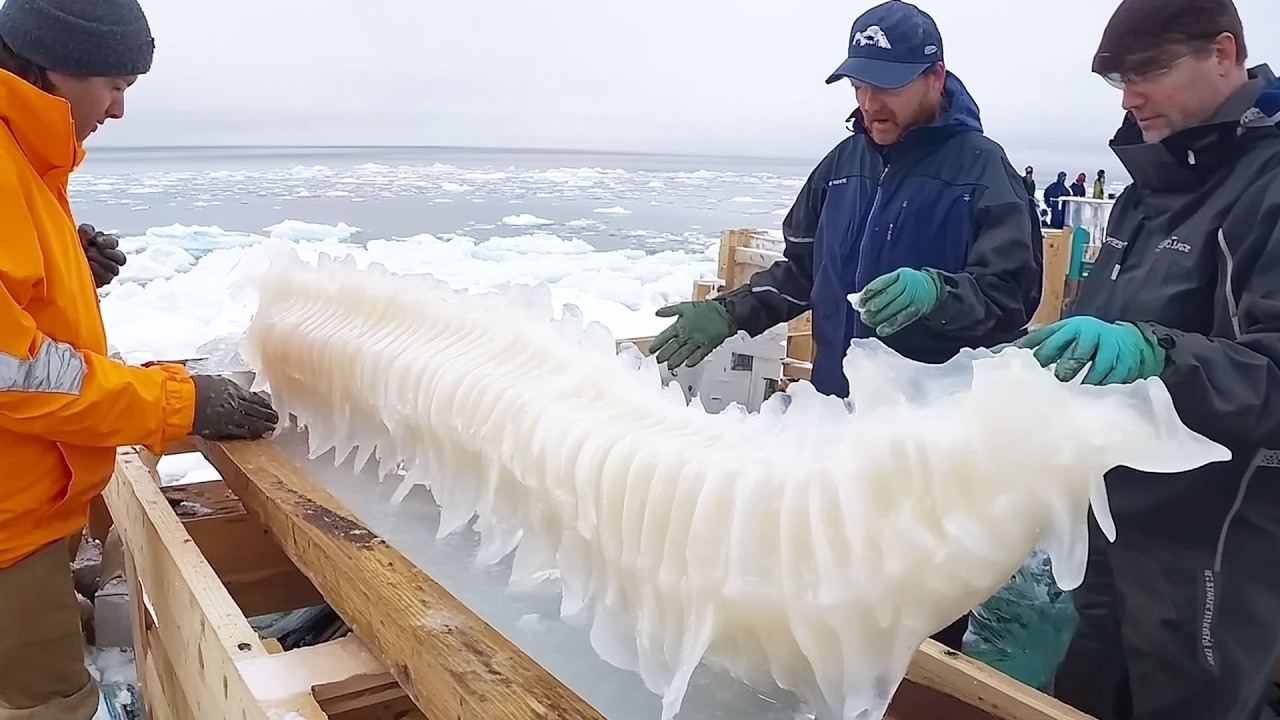 Scientists Just Uncovered Something Shocking Under Antarctica – Daily News